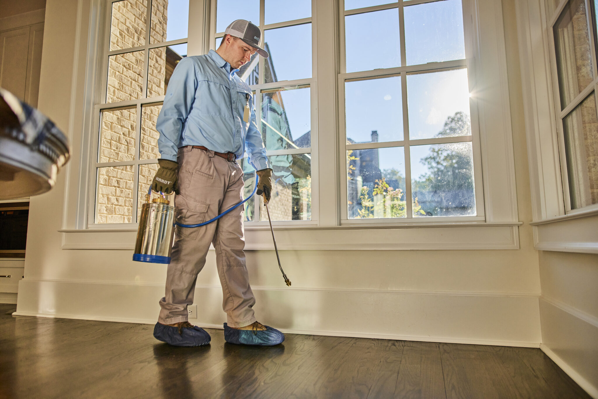 Pest Control Anthem Pest Control