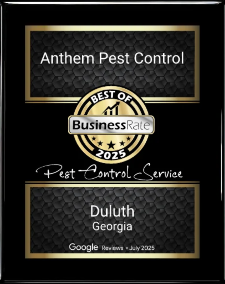 Anthem Pest Control: Atlanta's Trusted Pest Control Experts
