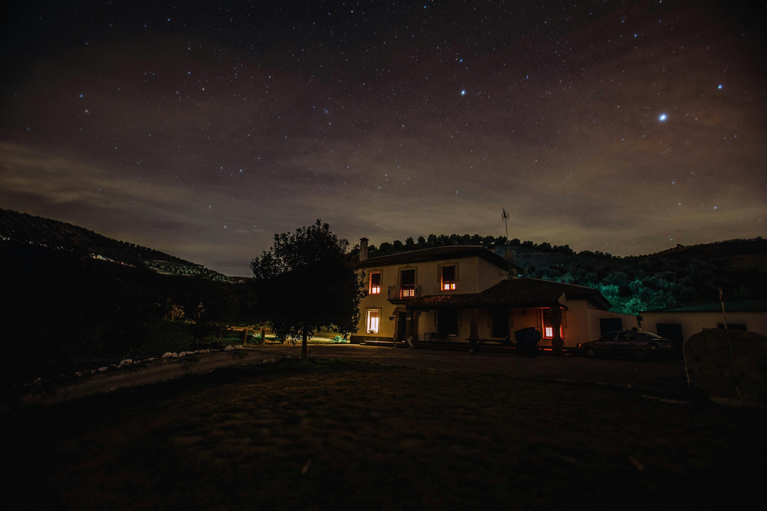 Emergency Centipede Control in Decatur, Georgia: What to Do Right Now ...
