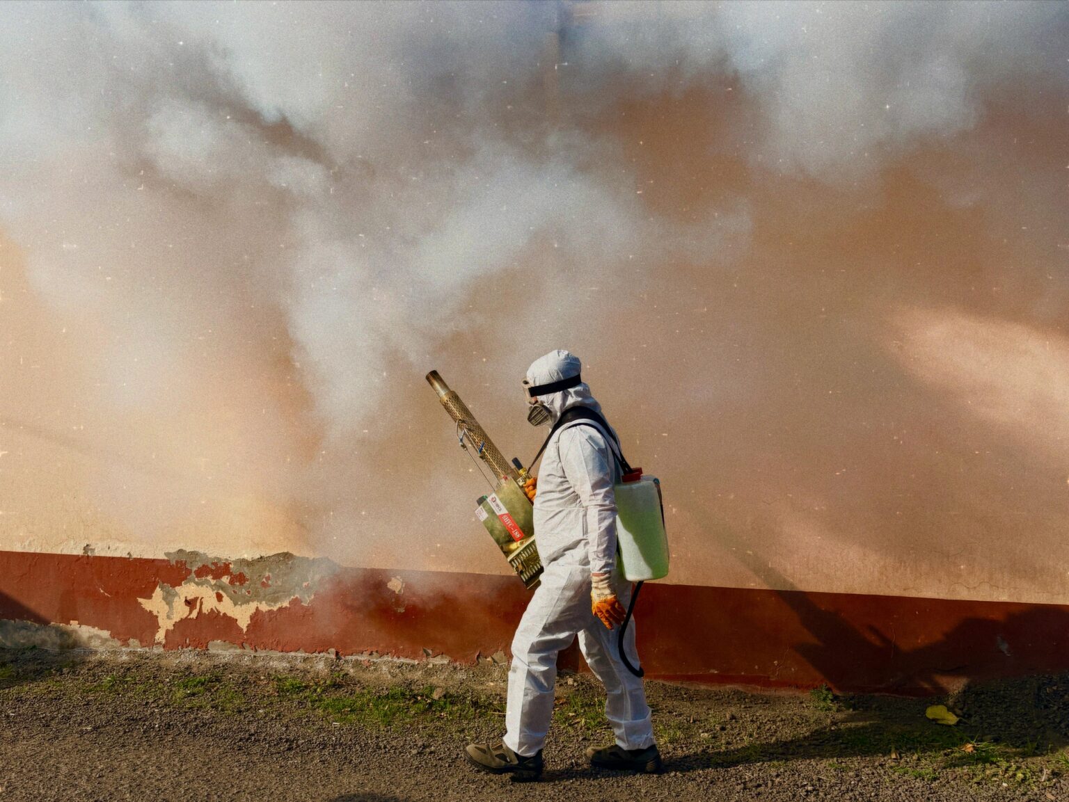 Stink Bug Exterminator Decatur GA | Local Experts